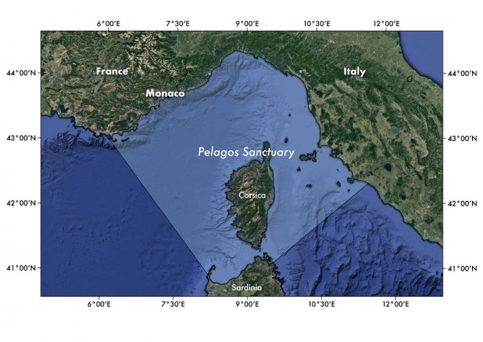 The Cetacean Sanctuary Research (CSR) Study Tethys Italy area