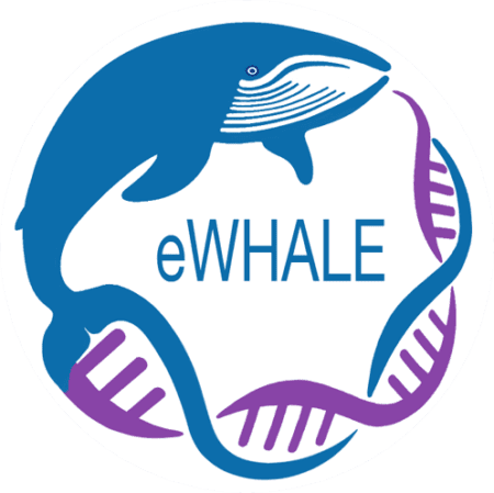 Whales and Dolphins in the Mediterranean - Tethys Research Institute