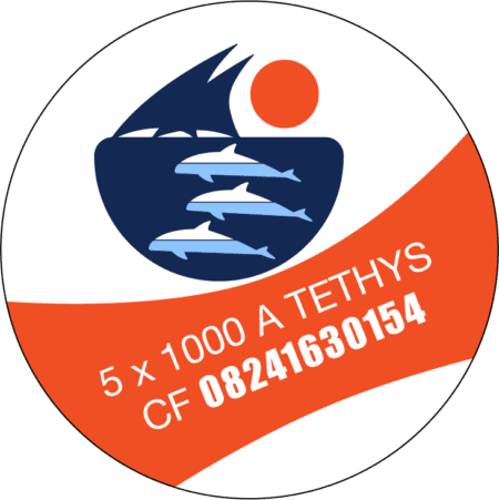 Whales and Dolphins in the Mediterranean - Tethys Research Institute