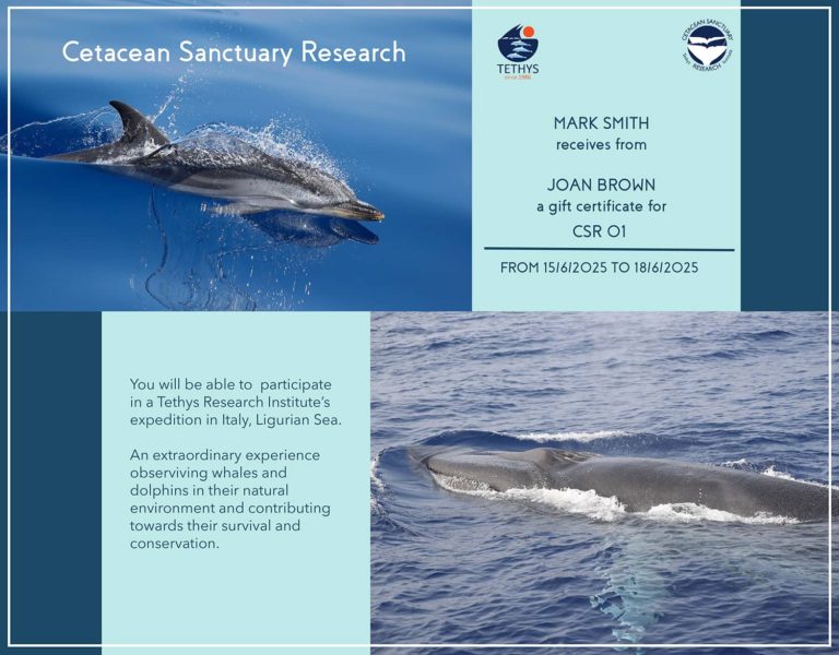Whales and Dolphins in the Mediterranean - Tethys Research Institute